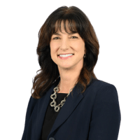 Our Team | Blue Chip Partners LLC